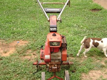 Massey Ferguson 258 Walk Behind Tiller (2010-06-19) - Tractor Shed