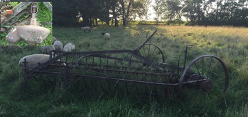 Case Hay Rake - Yesterday's Tractors