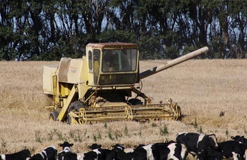 Clayson M140 Header (2017-07-26) - Tractor Shed