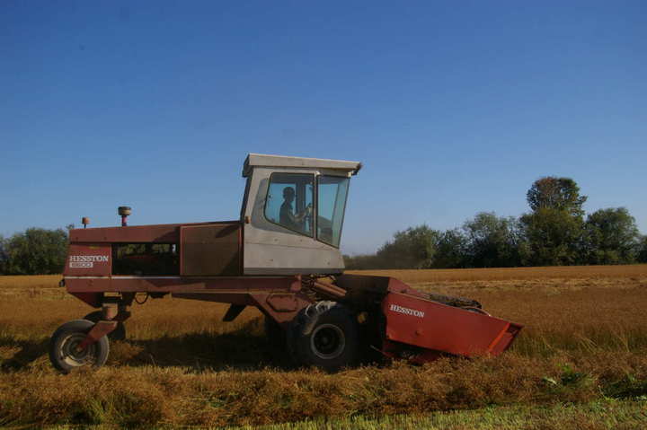 Follow up--Swather for windrowing small grains | Yesterday's Tractors ...