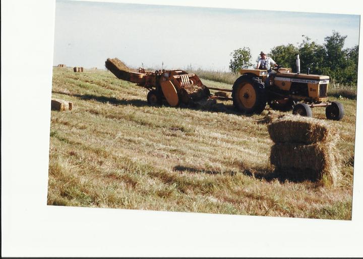 Moline Uni Combines and picker pictures in action | Yesterday's ...
