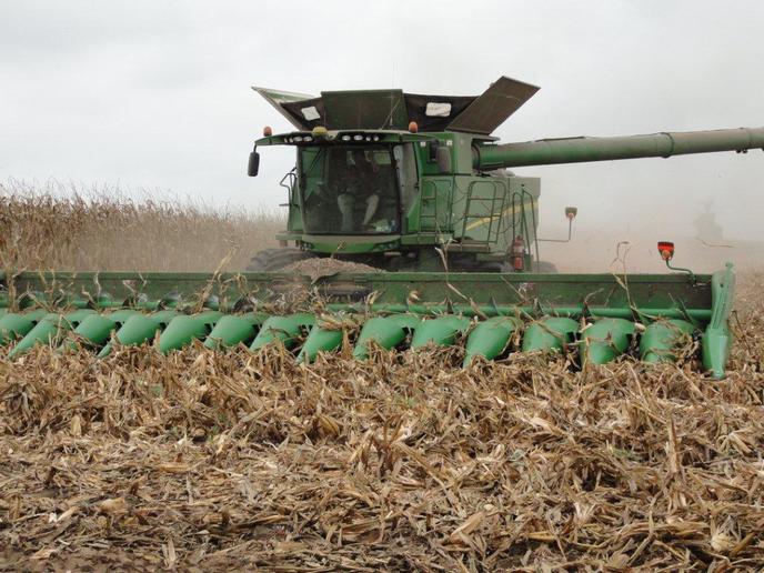Plowing Disking Planting Wildlife Food PLots | Yesterday's Tractors Forums