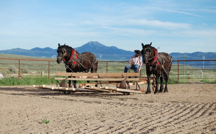 Dump Rakes / Buck Rakes | Yesterday's Tractors Forums