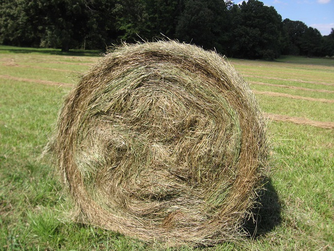 Soft core v difference between mine s hard core round balers ...