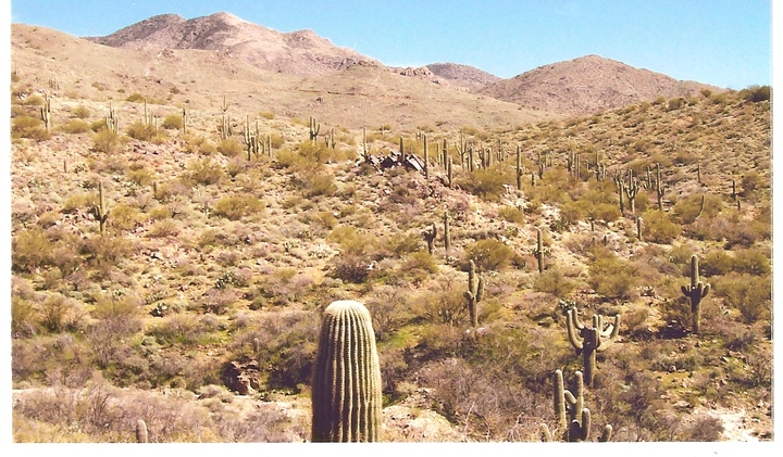 Yippee it's raining | Yesterday's Tractors Forums