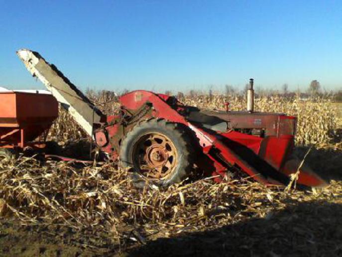 unknown ih corn picker | Yesterday's Tractors Forums