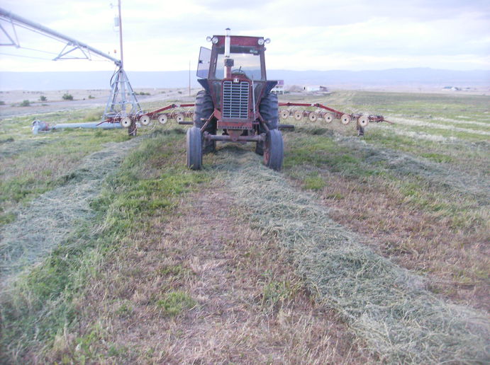 Big honkin rake | Yesterday's Tractors Forums