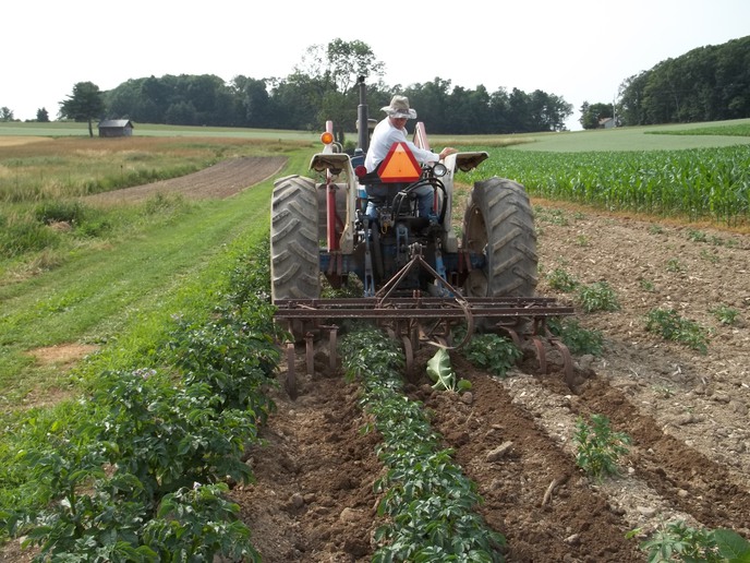 random tractor picture | Yesterday's Tractors Forums