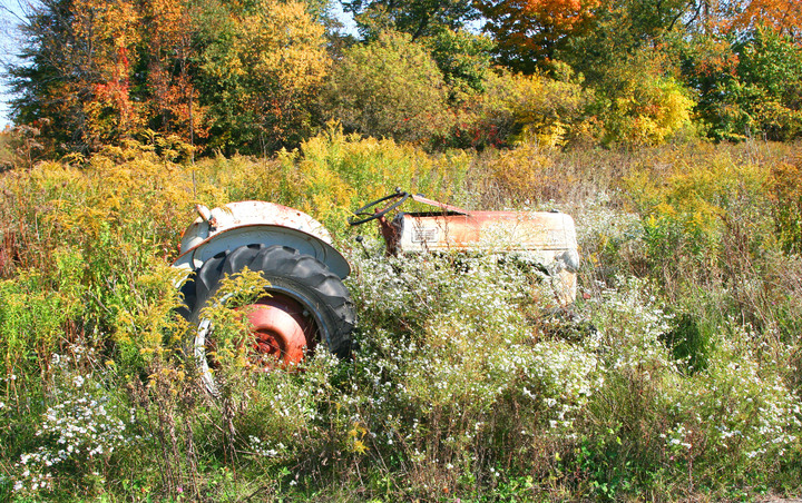 Sad tractor | Yesterday's Tractors Forums