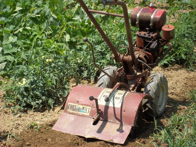 My best tractor | Yesterday's Tractors Forums