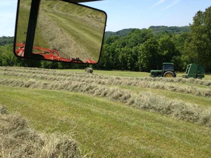 Making hay pics | Yesterday's Tractors Forums