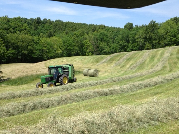 Making hay pics | Yesterday's Tractors Forums