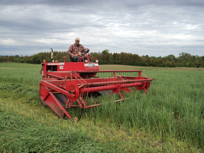 Mf 775 | Yesterday's Tractors Forums