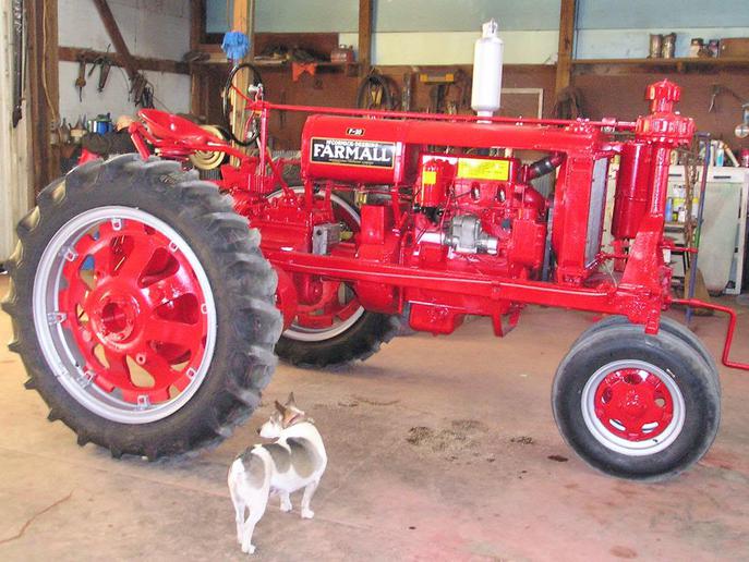 Farmall F-20 pics | Yesterday's Tractors Forums