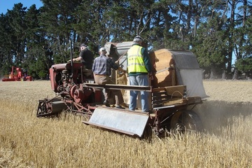 Sunshine Auto-Header | Yesterday's Tractors Forums
