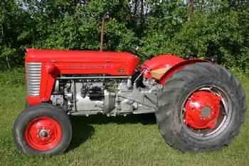 Used Farm Tractors for Sale: Fully Restored MF 65 (2006-02-04 ...