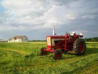 Used Farm Tractors for Sale: Farmall 706 W/ Loader (2006-06-10 ...