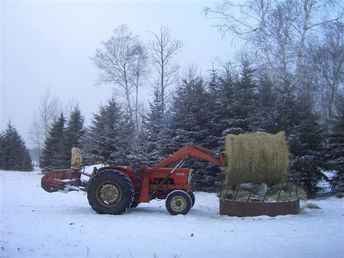 Used Farm Tractors for Sale: White 1270 (2009-03-26) - Yesterday's Tractors