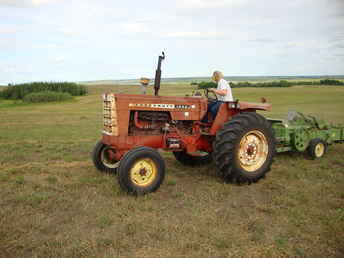 Used Farm Tractors for Sale: Cockshutt 1650 Gas Standard (2009-08-04 ...