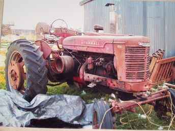 Used Farm Tractors for Sale: Farmall M (2009-10-29) - Yesterday's Tractors