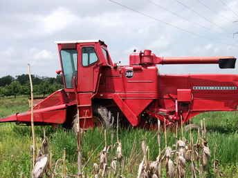 Used Farm Tractors for Sale: Massey Ferguson 300 Combine (2010-05-29 ...