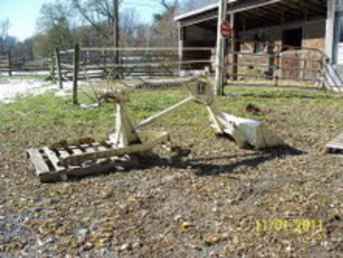 Used Farm Tractors for Sale: Farmall 1000 Loader (2011-11-16 ...