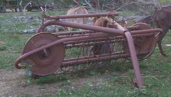 Used Farm Tractors for Sale: Massey Ferguson MF-Hay Rake (2011-12-08 ...