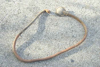 Used Farm Tractors for Sale: Briggs Pancake Muffler W/Hose (2012-09-20 ...