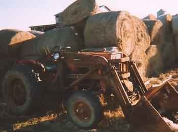 Used Farm Tractors for Sale: International 340 W/Loader (2004-02-17 ...