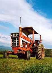 Used Farm Tractors for Sale: Farmall 966 (2004-05-05) - Yesterday's ...